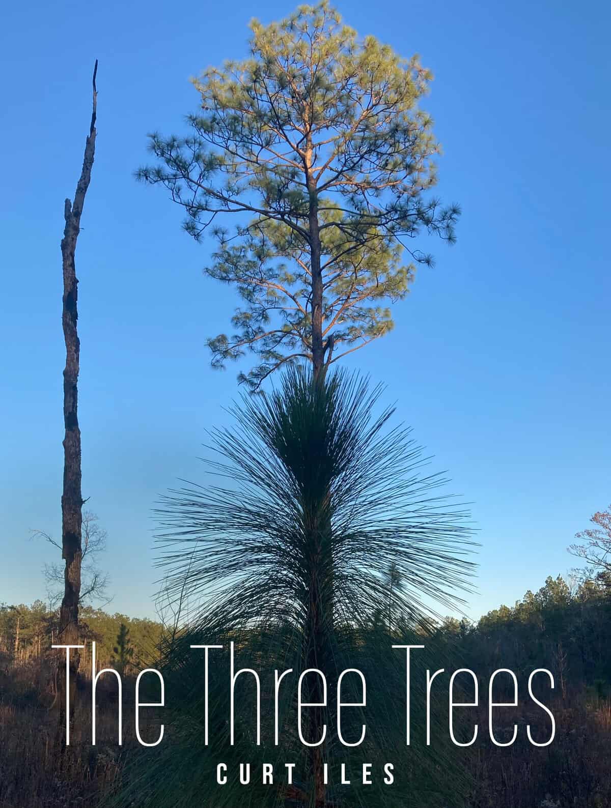 A Great Gift: An Autographed copy of “The Three Trees”, - Creekbank Stories
